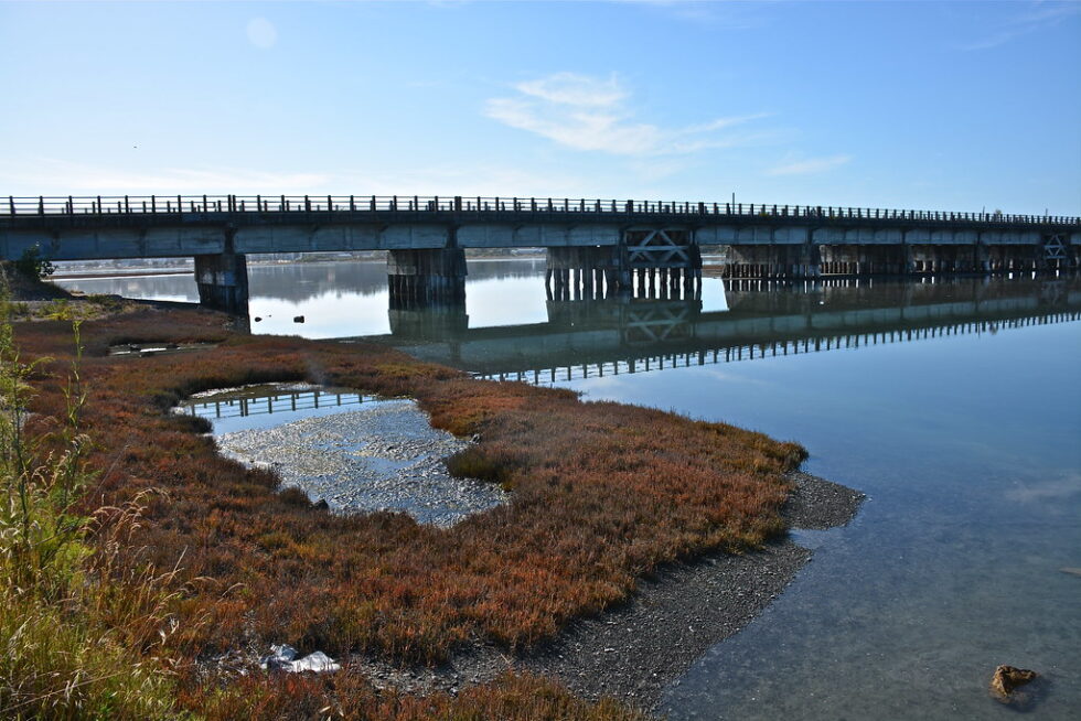 Te Muriwai o Te Whanga
