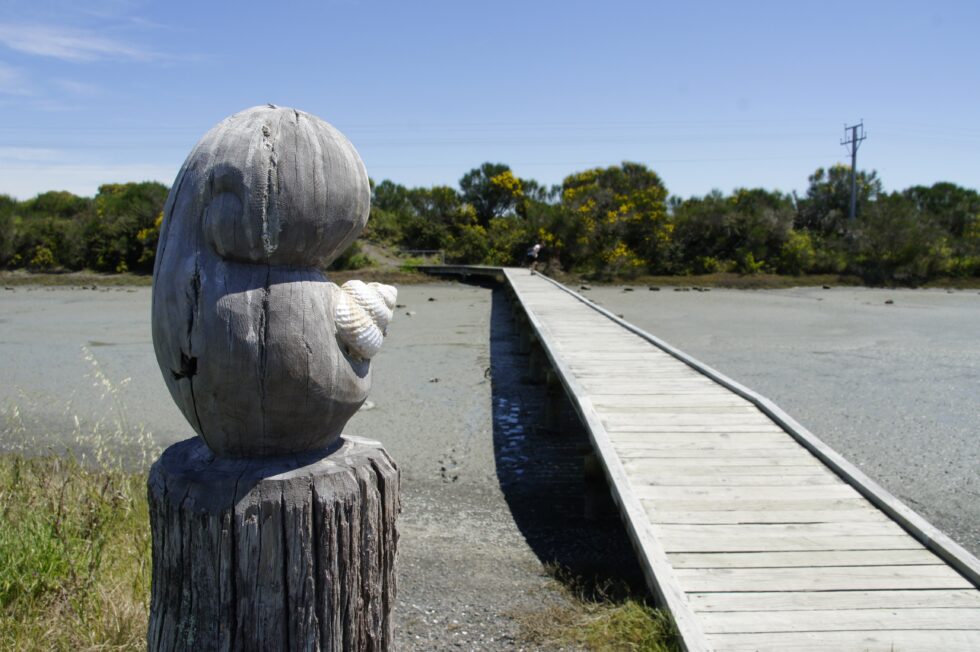 The Plan | Te Muriwai o Te Whanga