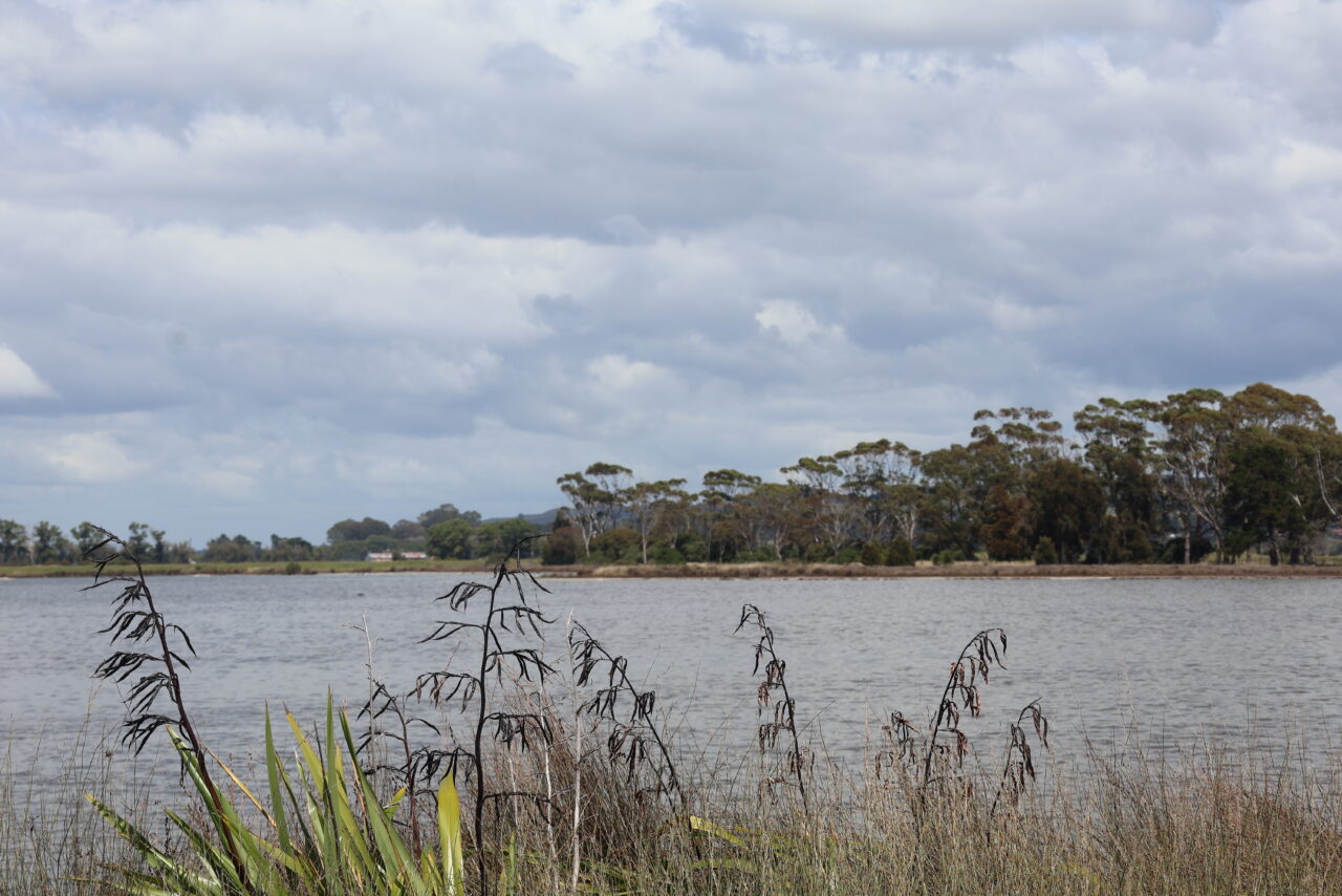 The Plan | Te Muriwai o Te Whanga